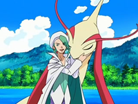 Milotic de Wallace/Plubio - WikiDex, la enciclopedia Pokémon