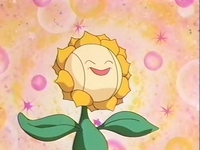 Archivo:EP137 Sunflora (8).png - WikiDex, la enciclopedia Pokémon