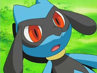 Archivo:EP540 Riolu (4).png - WikiDex, la enciclopedia Pokémon