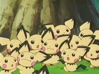 Archivo:EP181 Pichu (2).png - WikiDex, la enciclopedia Pokémon