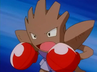 Archivo:EP235 Hitmonchan (2).png - WikiDex, la enciclopedia Pokémon
