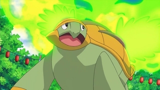 Archivo:EP610 Grotle absorbiendo energía.jpg - WikiDex, la enciclopedia Pokémon