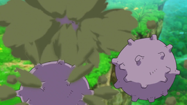 Koffing - WikiDex, la enciclopedia Pokémon