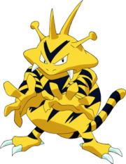 Categoría:Electabuzz - WikiDex, la enciclopedia Pokémon