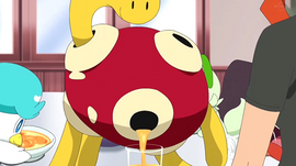 Shuckle - WikiDex, la enciclopedia Pokémon