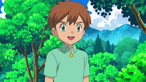 Hotel Spa - WikiDex, la enciclopedia Pokémon