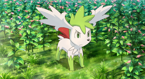 Shaymin - WikiDex, la enciclopedia Pokémon