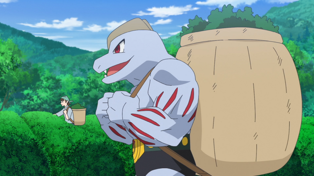 Archivo:EP1329 Machoke.png - WikiDex, la enciclopedia Pokémon