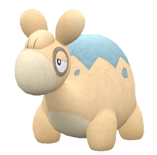 Archivo:Numel EP variocolor hembra.webm - WikiDex, la enciclopedia Pokémon