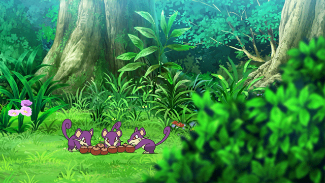 Archivo:EP1224 Rattata.png - WikiDex, la enciclopedia Pokémon