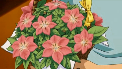 Gracídea - WikiDex, la enciclopedia Pokémon