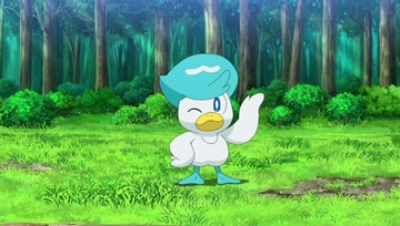 Categoría:Quaxly - WikiDex, la enciclopedia Pokémon