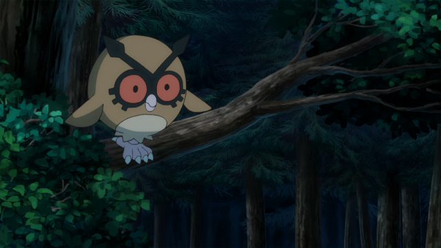 Archivo:EP1226 Hoothoot.png - WikiDex, la enciclopedia Pokémon