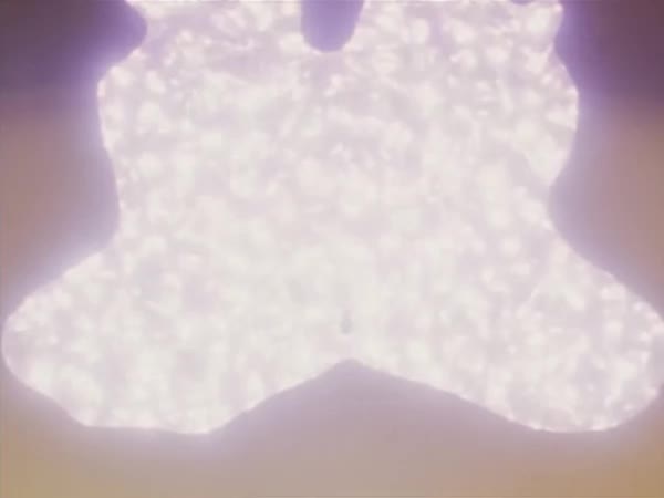 Archivo:EP037 Ditto tranformandose a Machoke.webm - WikiDex, la ...