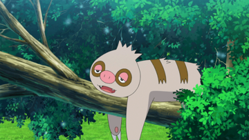 Slakoth - WikiDex, la enciclopedia Pokémon