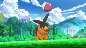 Pignite de Ash - WikiDex, la enciclopedia Pokémon