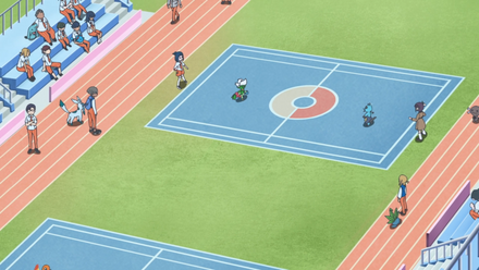 Ann - WikiDex, la enciclopedia Pokémon