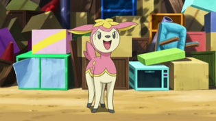 Daniela - WikiDex, la enciclopedia Pokémon