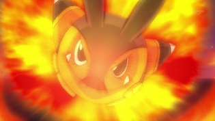 Nitrocarga - WikiDex, la enciclopedia Pokémon