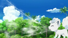 Níveo/Nivi - WikiDex, la enciclopedia Pokémon