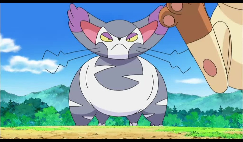 Archivo:EP647 Glameow evolucionando a Purugly.webm - WikiDex, la ...