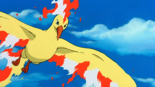 Lawrence III - WikiDex, la enciclopedia Pokémon