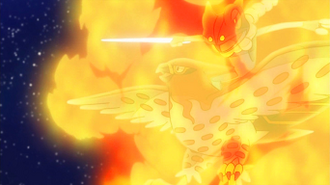 Talonflame de Ash - WikiDex, la enciclopedia Pokémon