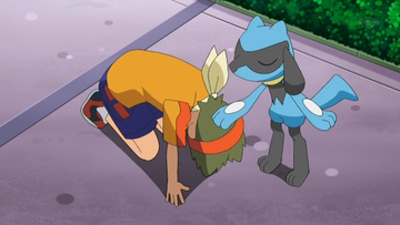 Categoría:Pokémon de Cameron - WikiDex, la enciclopedia Pokémon