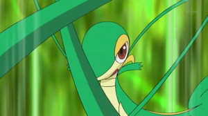 Snivy de Ash - WikiDex, la enciclopedia Pokémon