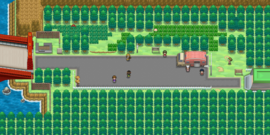 Categoría:Mapas de rutas de Teselia - WikiDex, la enciclopedia Pokémon