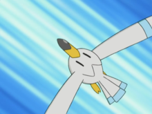Wingull - WikiDex, la enciclopedia Pokémon