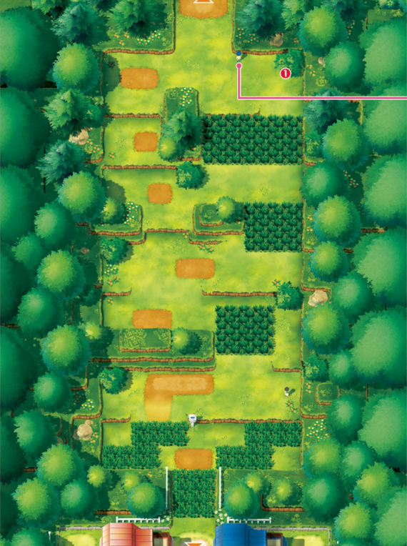 Ruta 1 (Kanto) - WikiDex, la enciclopedia Pokémon