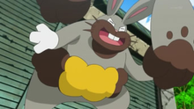 Diggersby - WikiDex, la enciclopedia Pokémon