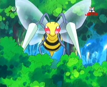 Beedrill - WikiDex, la enciclopedia Pokémon