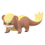 Yungoos - WikiDex, la enciclopedia Pokémon