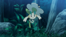 Floette - WikiDex, la enciclopedia Pokémon