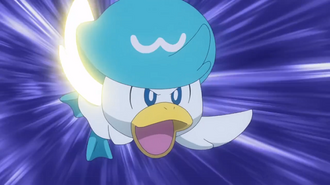 Quaxwell de Doti - WikiDex, la enciclopedia Pokémon