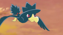 Murkrow - WikiDex, la enciclopedia Pokémon