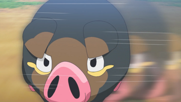 Categoría:Lechonk - WikiDex, la enciclopedia Pokémon