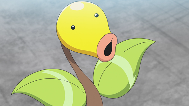 Archivo:EP1149 Bellsprout.png - WikiDex, la enciclopedia Pokémon