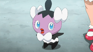 Nini - WikiDex, la enciclopedia Pokémon