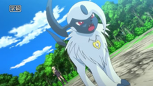 Absol - WikiDex, la enciclopedia Pokémon