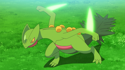 Sceptile de Ash - WikiDex, la enciclopedia Pokémon