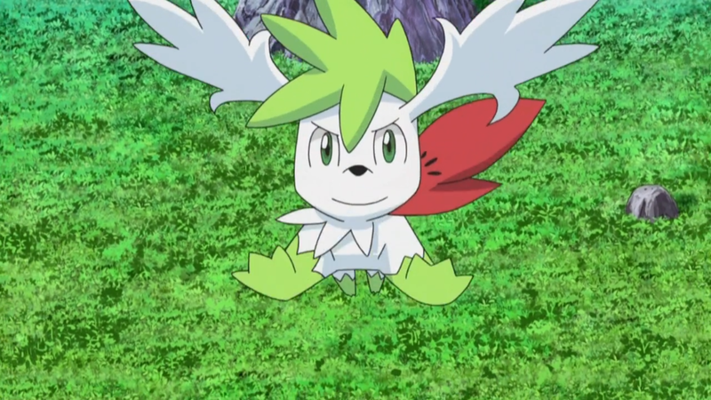 Archivo:EP637 Shaymin forma cielo.png - WikiDex, la enciclopedia Pokémon