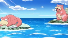 Slowpoke - WikiDex, la enciclopedia Pokémon