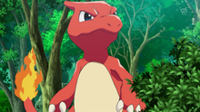 Charizard de Trevor/Charizard de Trovato - WikiDex, la enciclopedia Pokémon