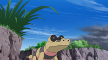 Sandile - WikiDex, la enciclopedia Pokémon