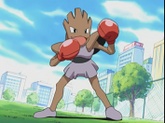 Hitmonchan - WikiDex, la enciclopedia Pokémon
