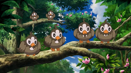 Starly - WikiDex, la enciclopedia Pokémon