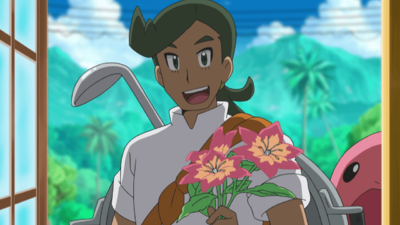 Gracídea - WikiDex, la enciclopedia Pokémon